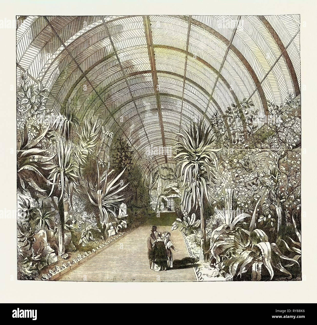 The Great Chatsworth Conservatory: The Interior, from the Central Walk ...