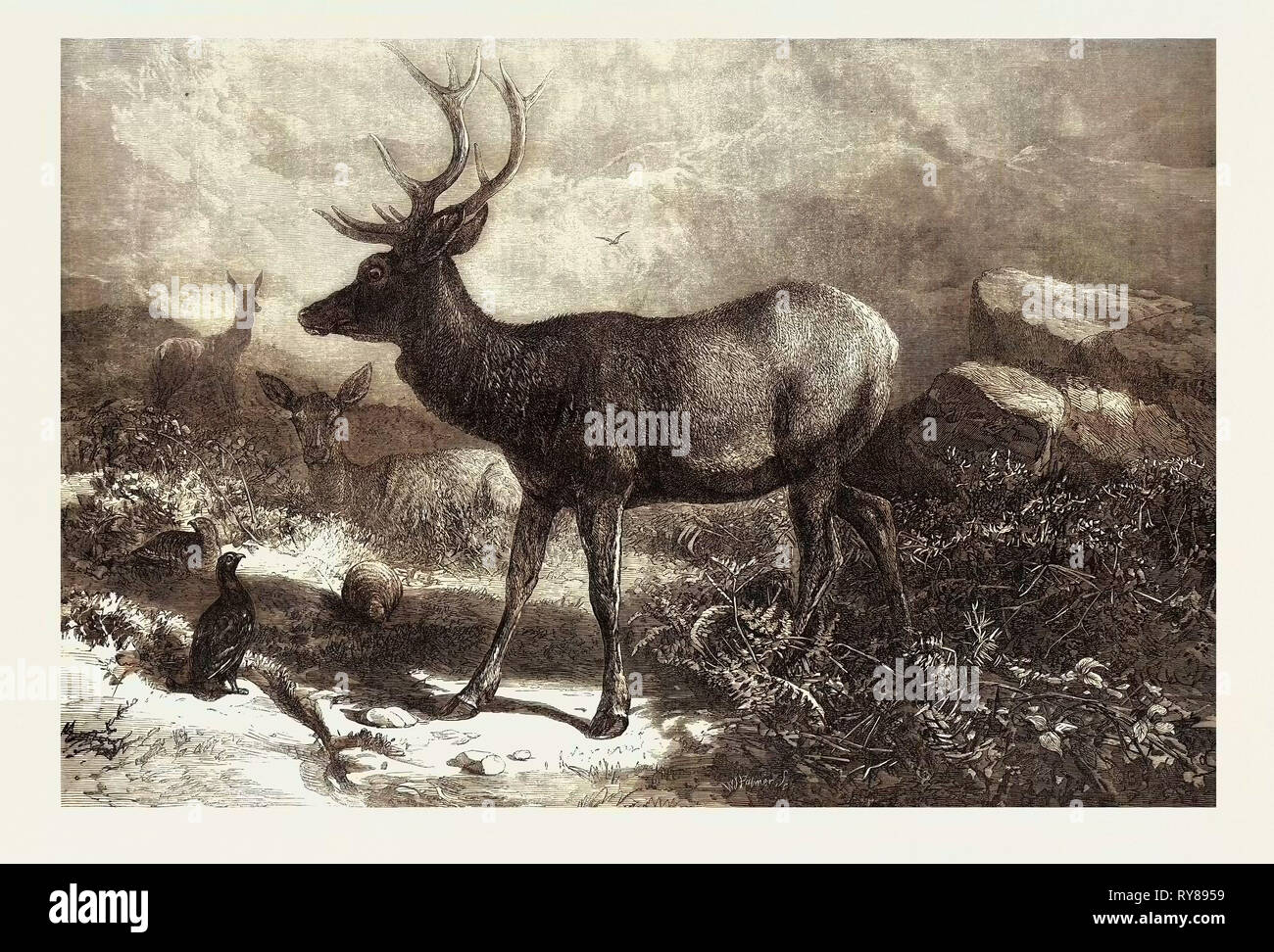 The Months: August Stock Photo - Alamy