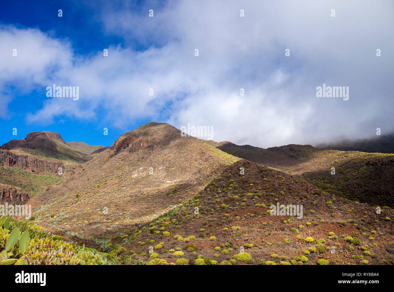 Gran Canaria, February, landscape around Temisas hamlet in Aguimes ...