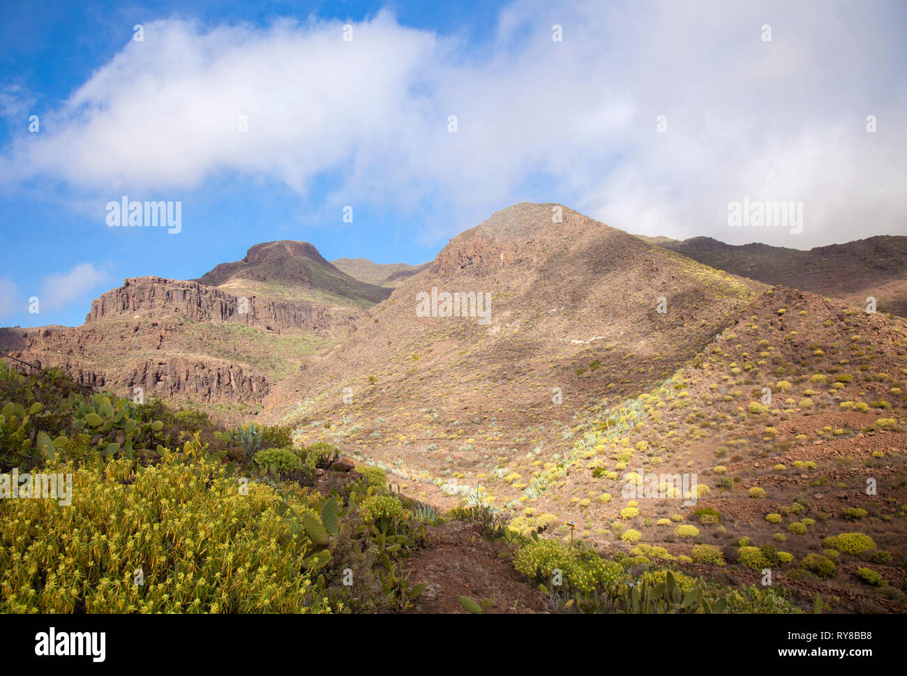 Gran Canaria, February, landscape around Temisas hamlet in Aguimes ...