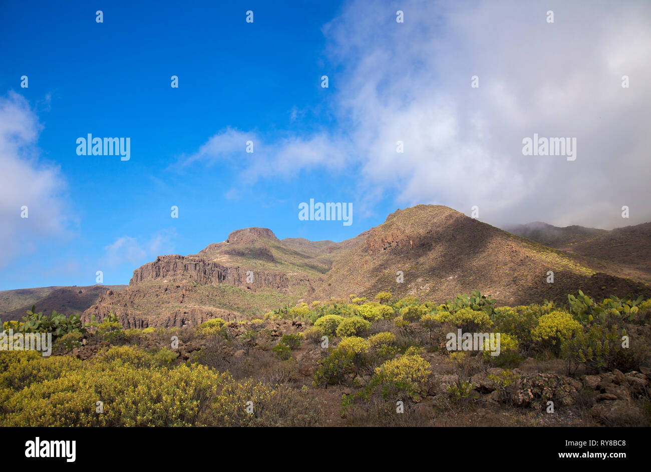 Gran Canaria, February, landscape around Temisas hamlet in Aguimes ...