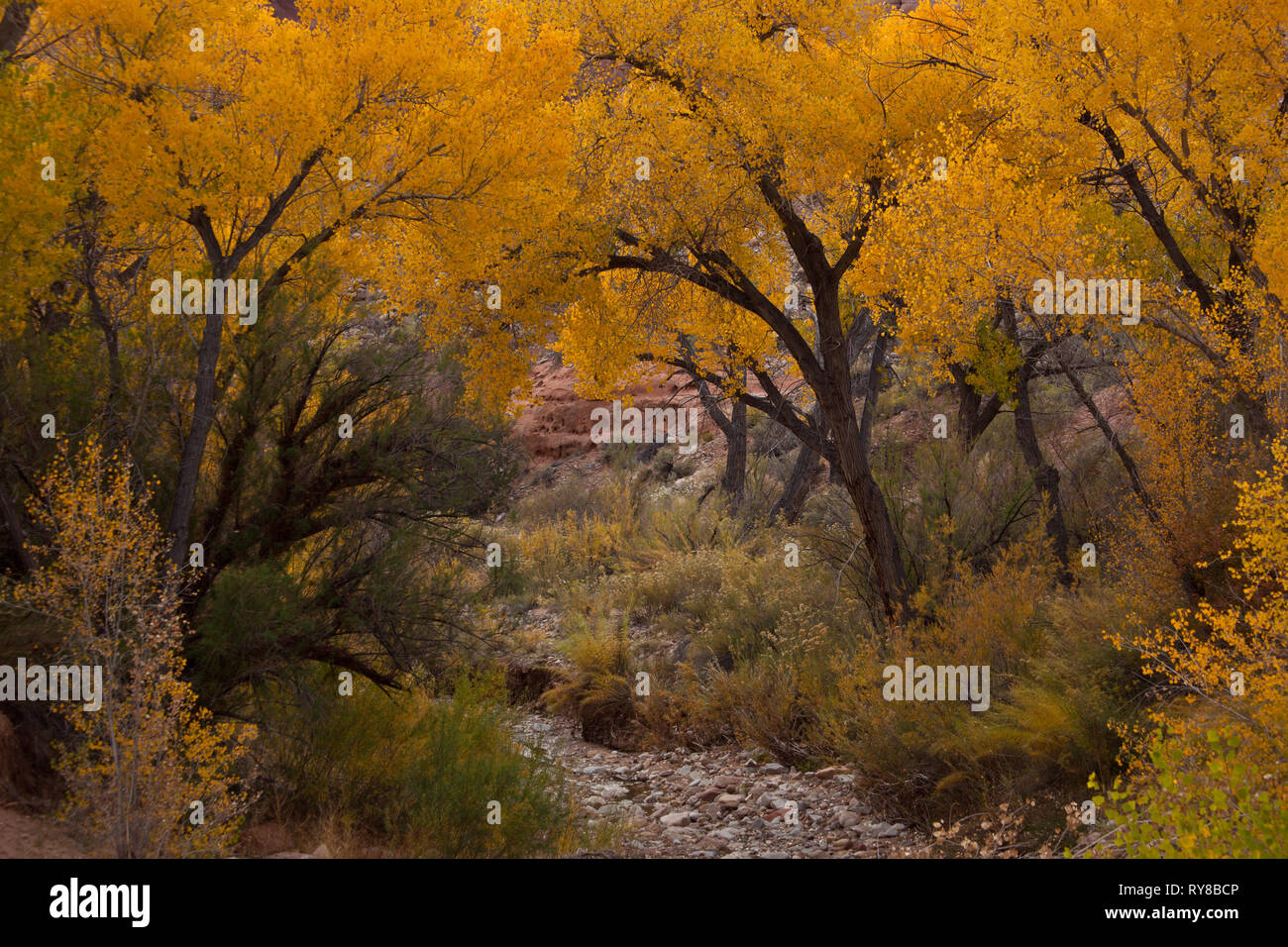 , San Juan County, Utah, USA Stock Photo - Alamy