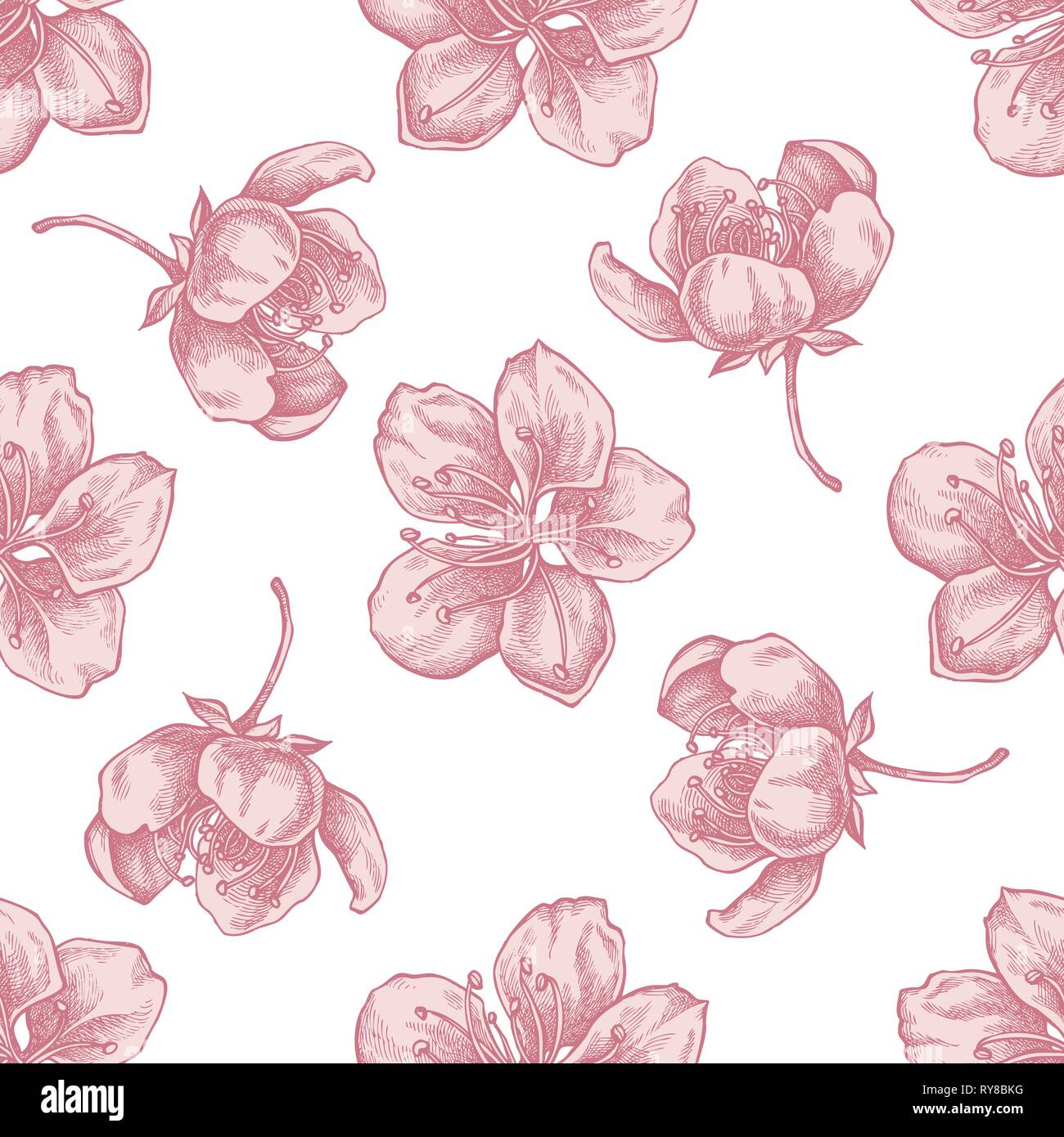 Sakura pastel Stock Vector Images - Alamy