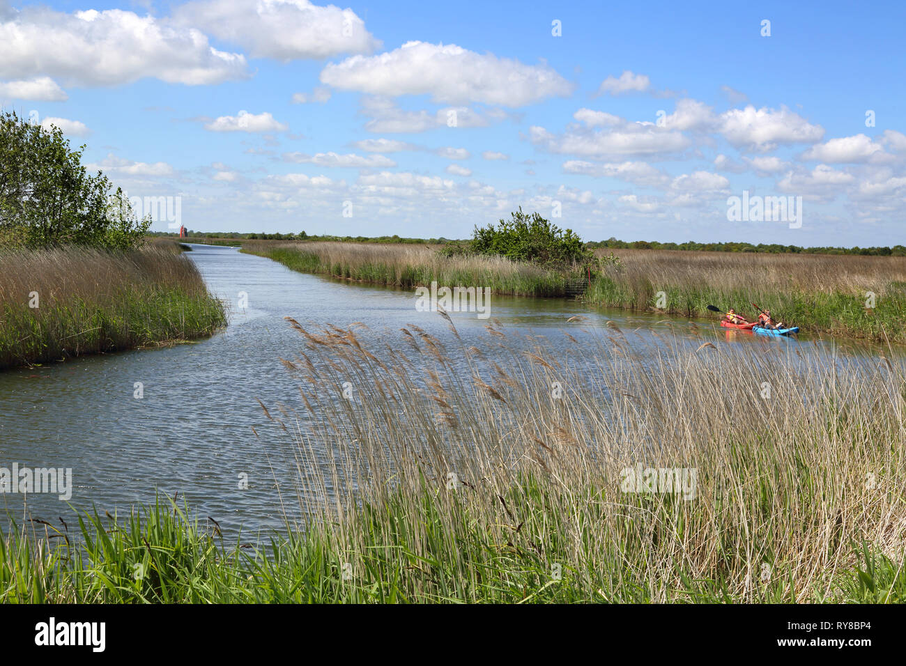 Martham Norfolk High Resolution Stock Photography and Images - Alamy