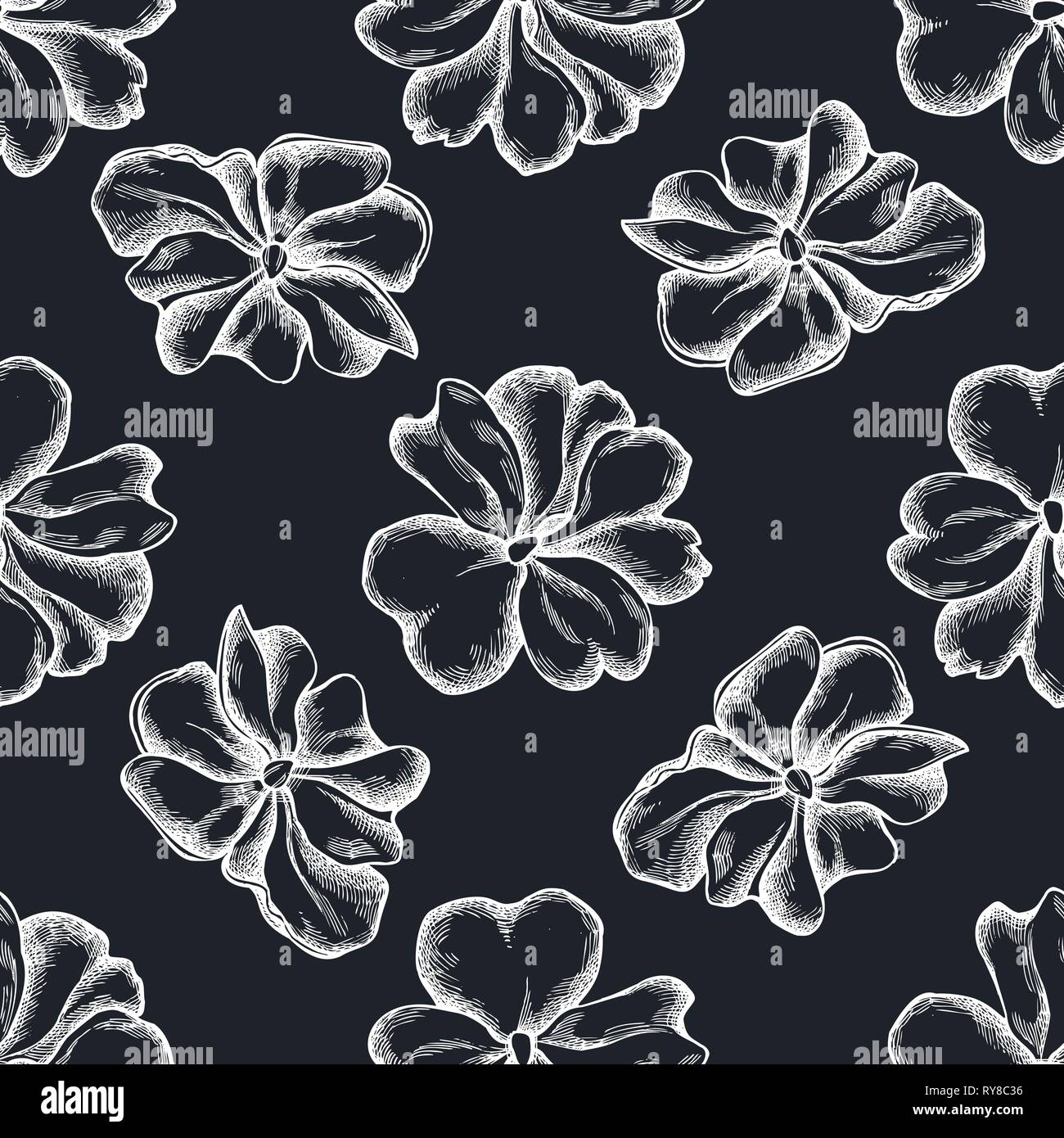 Botany jewelweed impatiens Stock Vector Images - Alamy