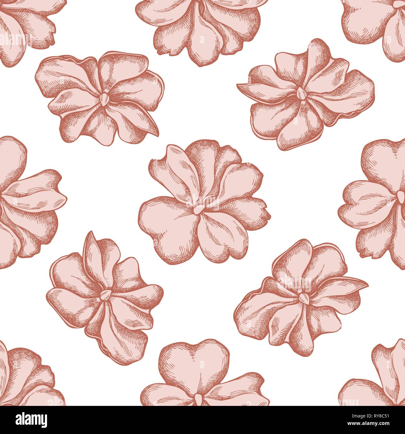 Impatiens plant illustration Stock Vector Images - Alamy