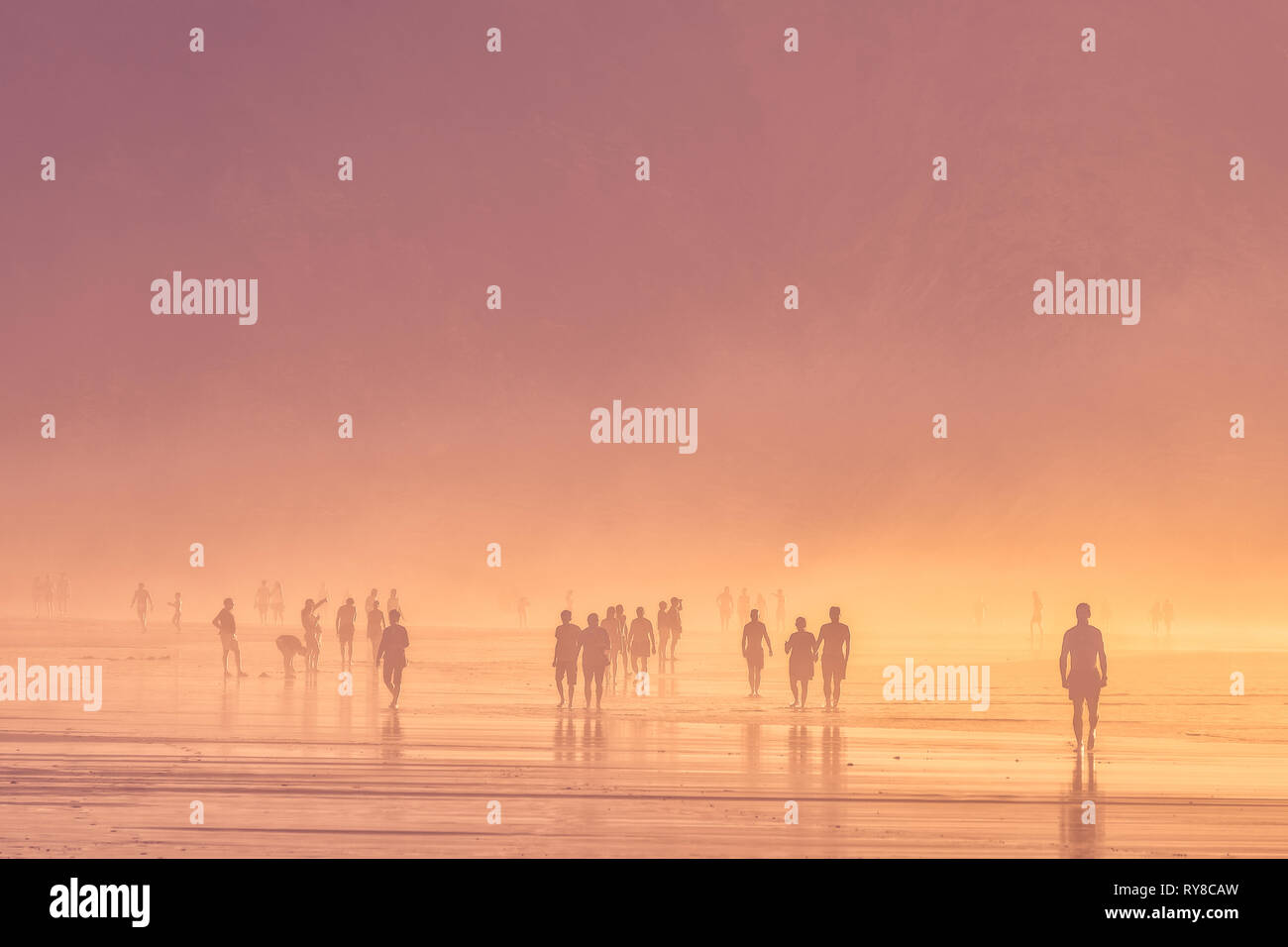 people walking on the beach Stock Photo - Alamy