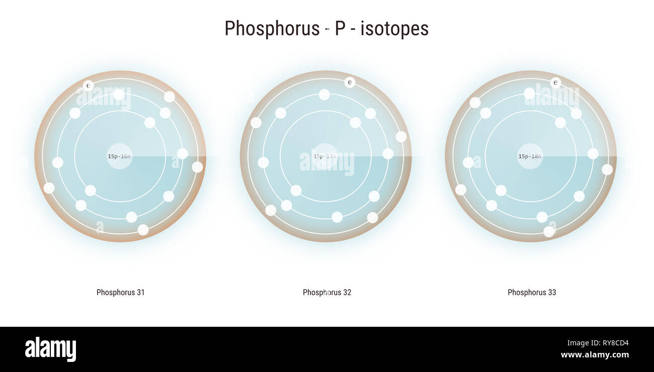 phosphorus chemical element isotopes atomic structure illustration ...