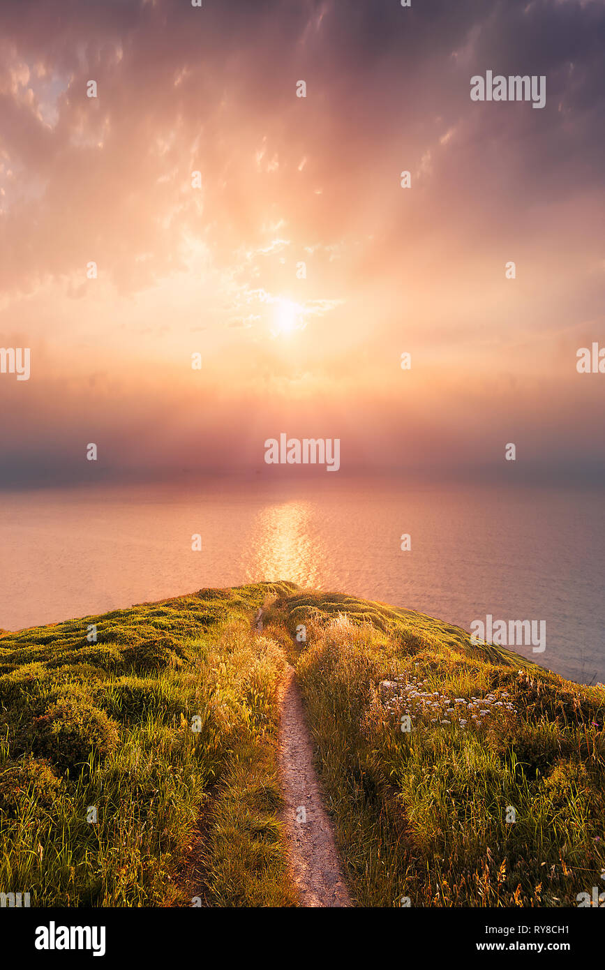 Dreamy pathway hi-res stock photography and images - Alamy
