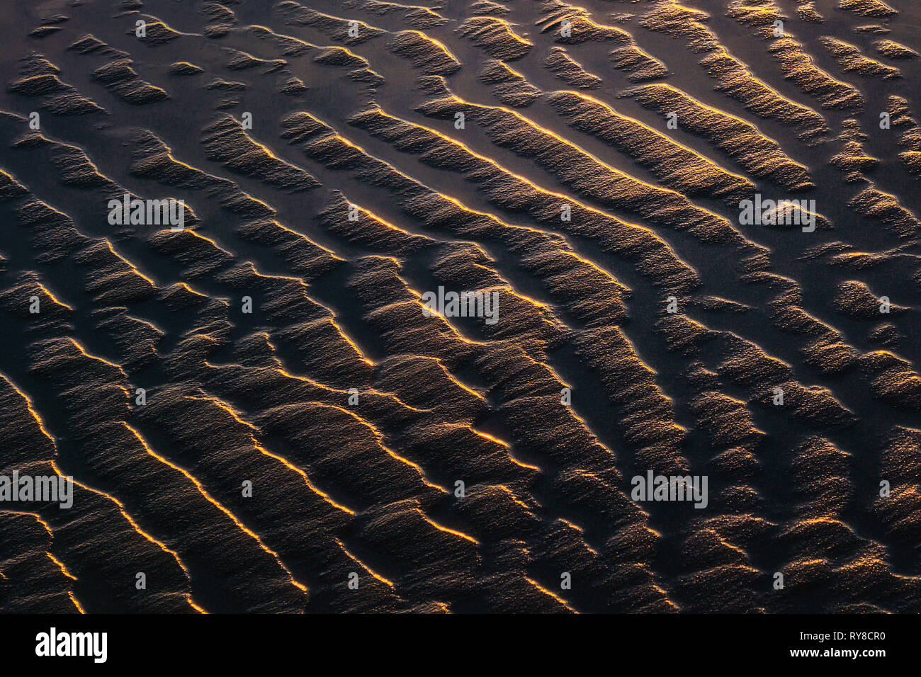 Puddle puddles orange hi-res stock photography and images - Alamy