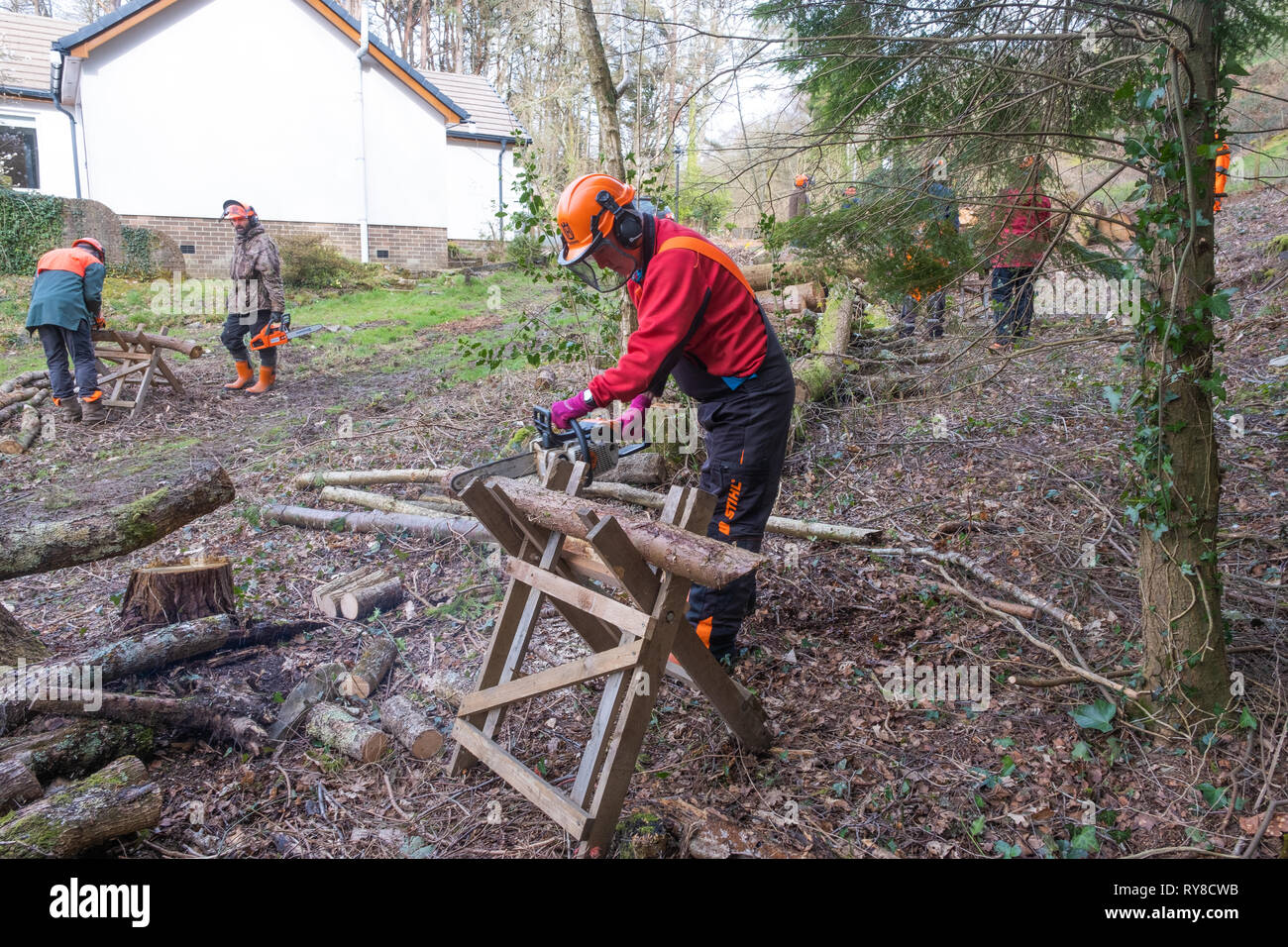 Chainsaw safe practice hi-res stock photography and images - Alamy
