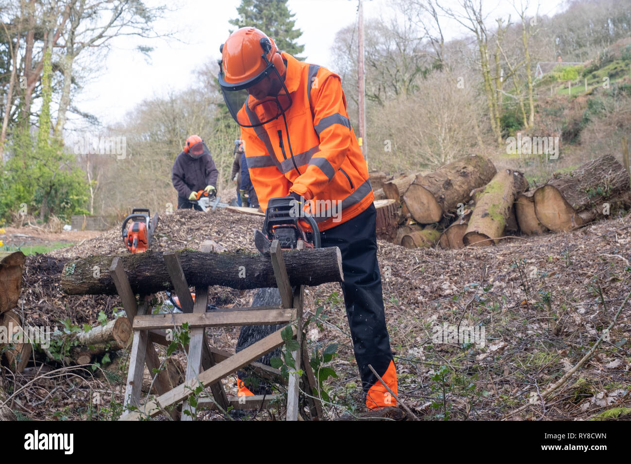 Chainsaw safe practice hi-res stock photography and images - Alamy