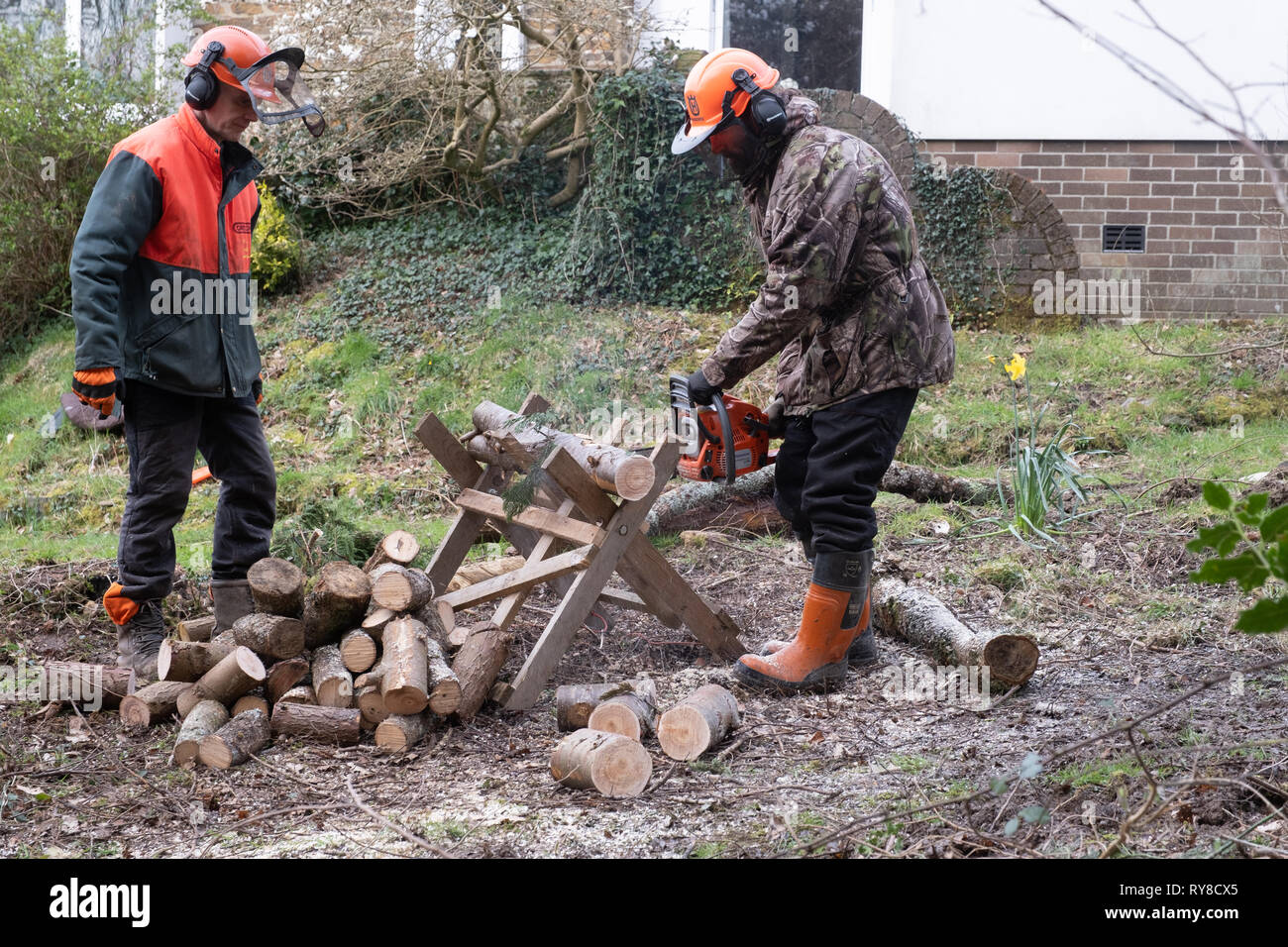 Chainsaw safe practice hi-res stock photography and images - Alamy