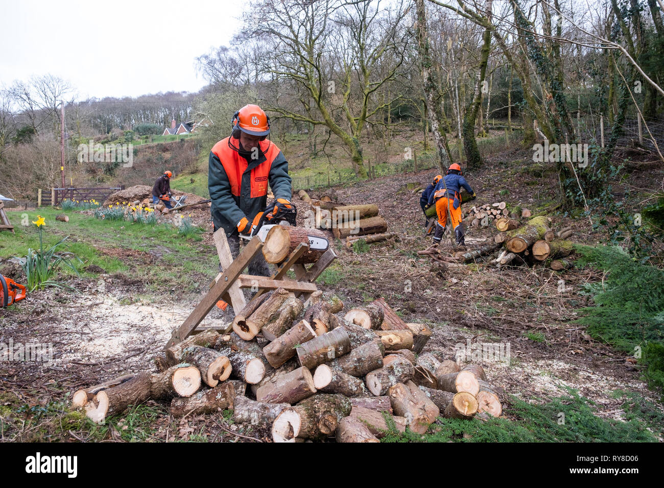 Chainsaw safe practice hi-res stock photography and images - Alamy
