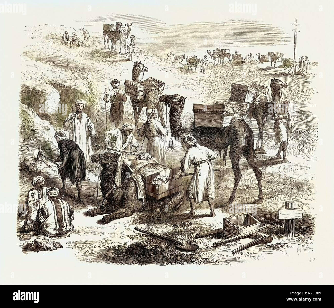 The Isthmus of Suez Maritime Canal: Workmen Loading Dromedaries 1869 ... The Isthmus of Suez Maritime Canal: Workmen Loading Dromedaries 1869 ...