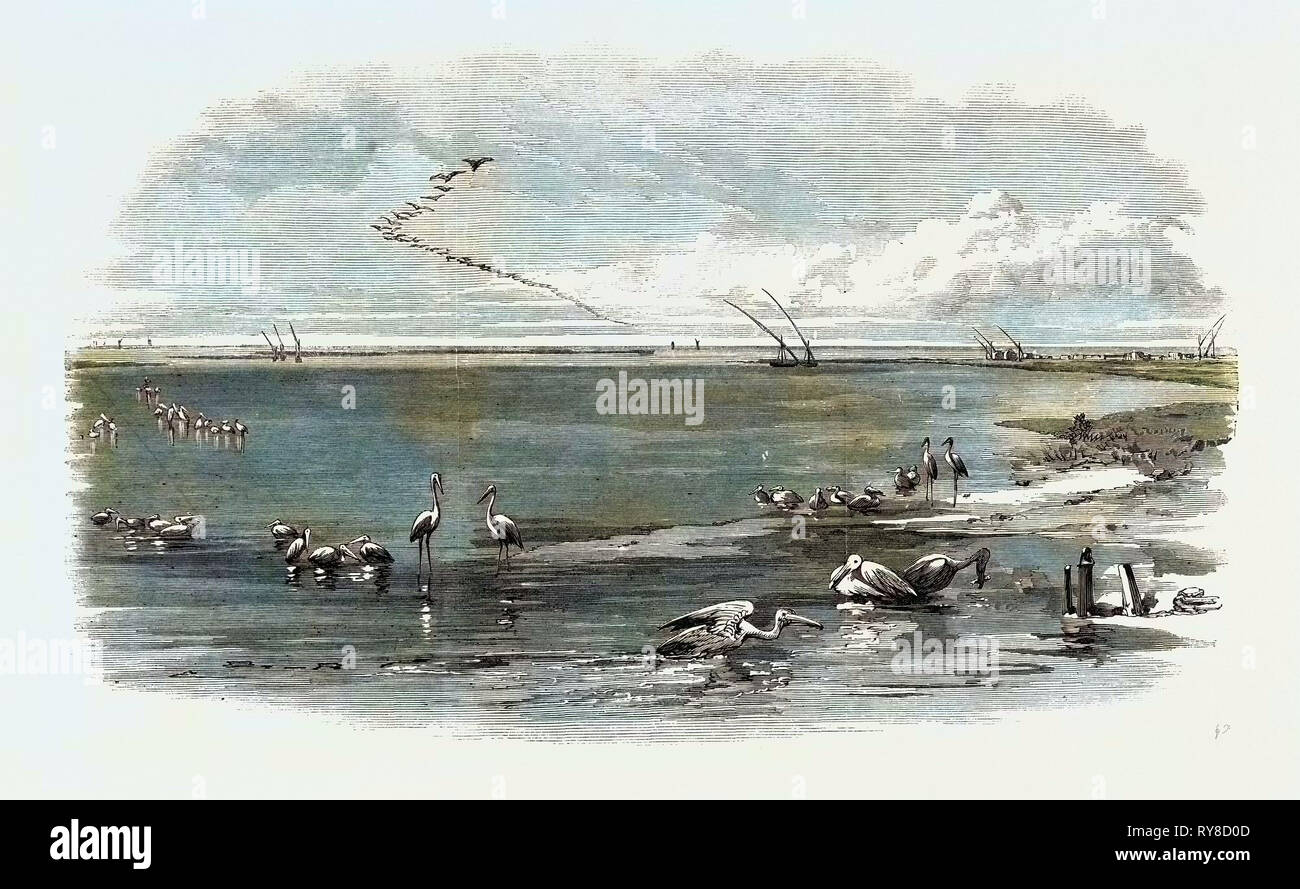 The Isthmus of Suez Maritime Canal: Lake Menzaleh 1869 Stock Photo - Alamy The Isthmus of Suez Maritime Canal: Lake Menzaleh 1869 Stock Photo - Alamy