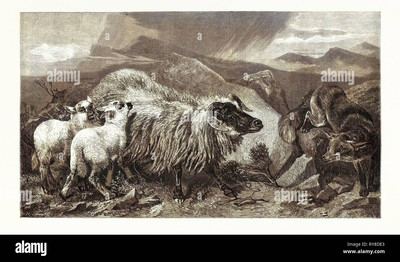 The Unwelcome Visitor, in the Exhibition of the Royal Academy 1869 ...