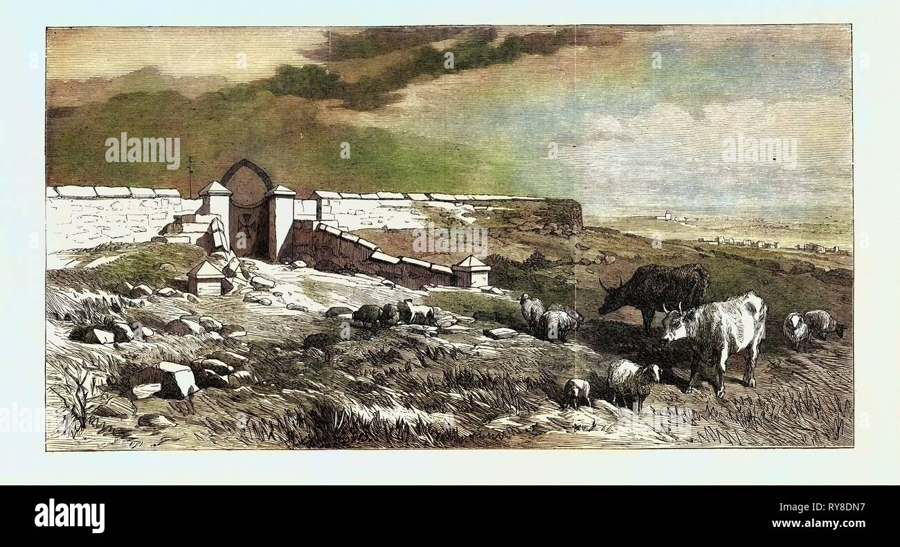 Cathcart hi-res stock photography and images - Alamy