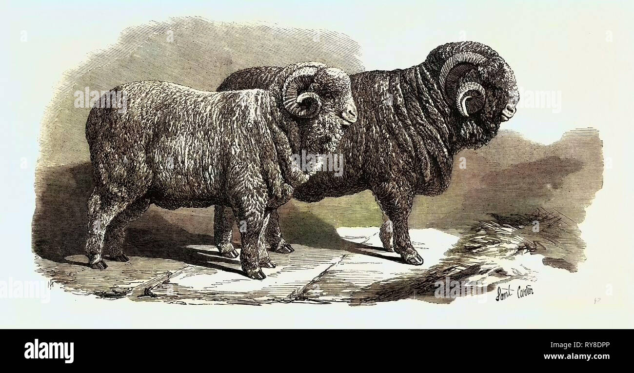 Exhibited hi-res stock photography and images - Alamy