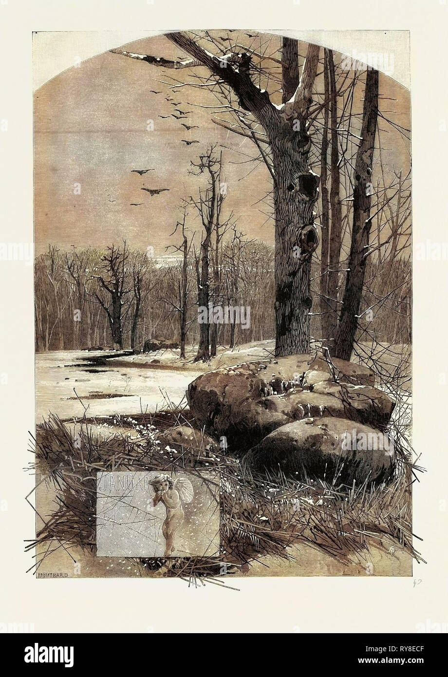 Months of january hi-res stock photography and images - Alamy