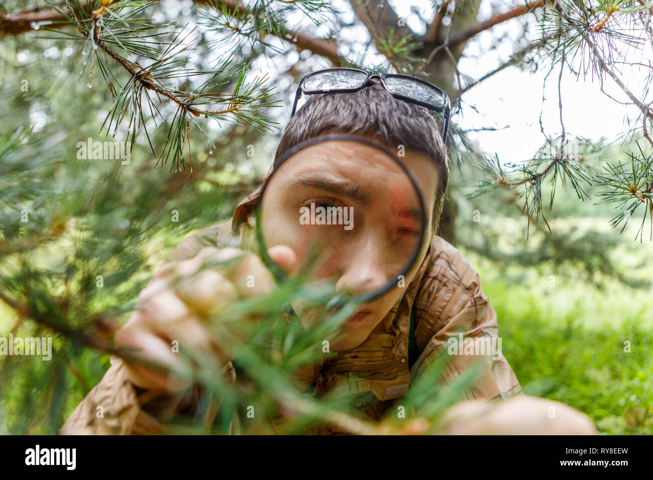 Picture of biologist in forest Stock Photo - Alamy