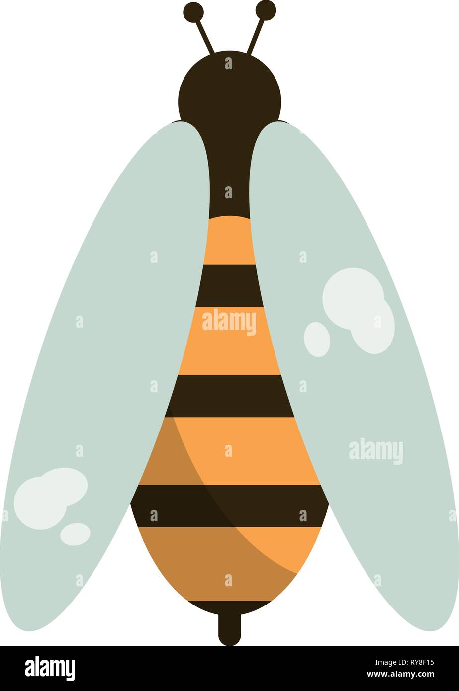 Bee bug cartoon isolated Stock Vector Image & Art - Alamy