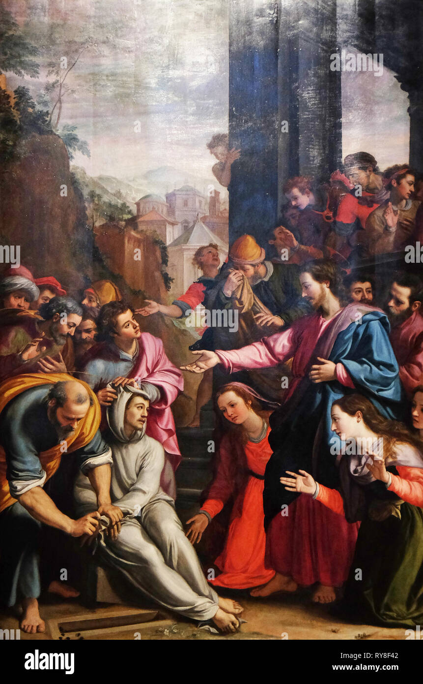 Resurrection of Lazarus by Santi di Tito, Santa Maria Novella Principal ...