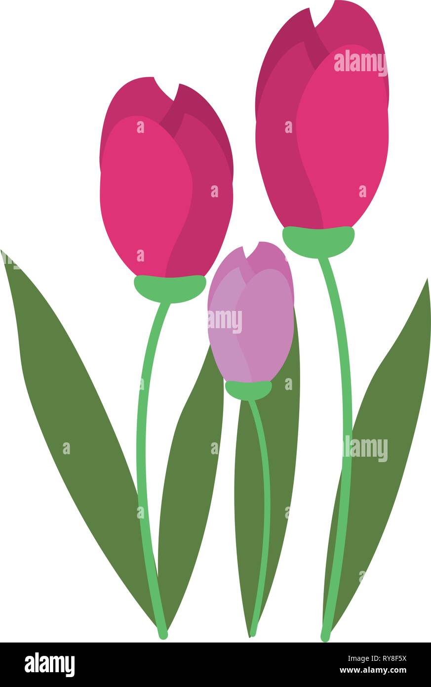 Beautiful flowers cartoon isolated Stock Vector Image & Art - Alamy