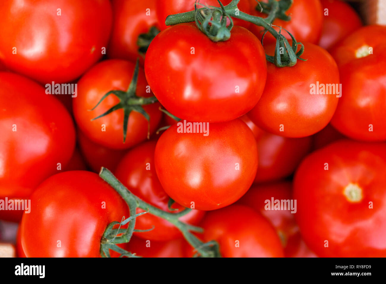 Photo crop of fresh tomato Stock Photo - Alamy