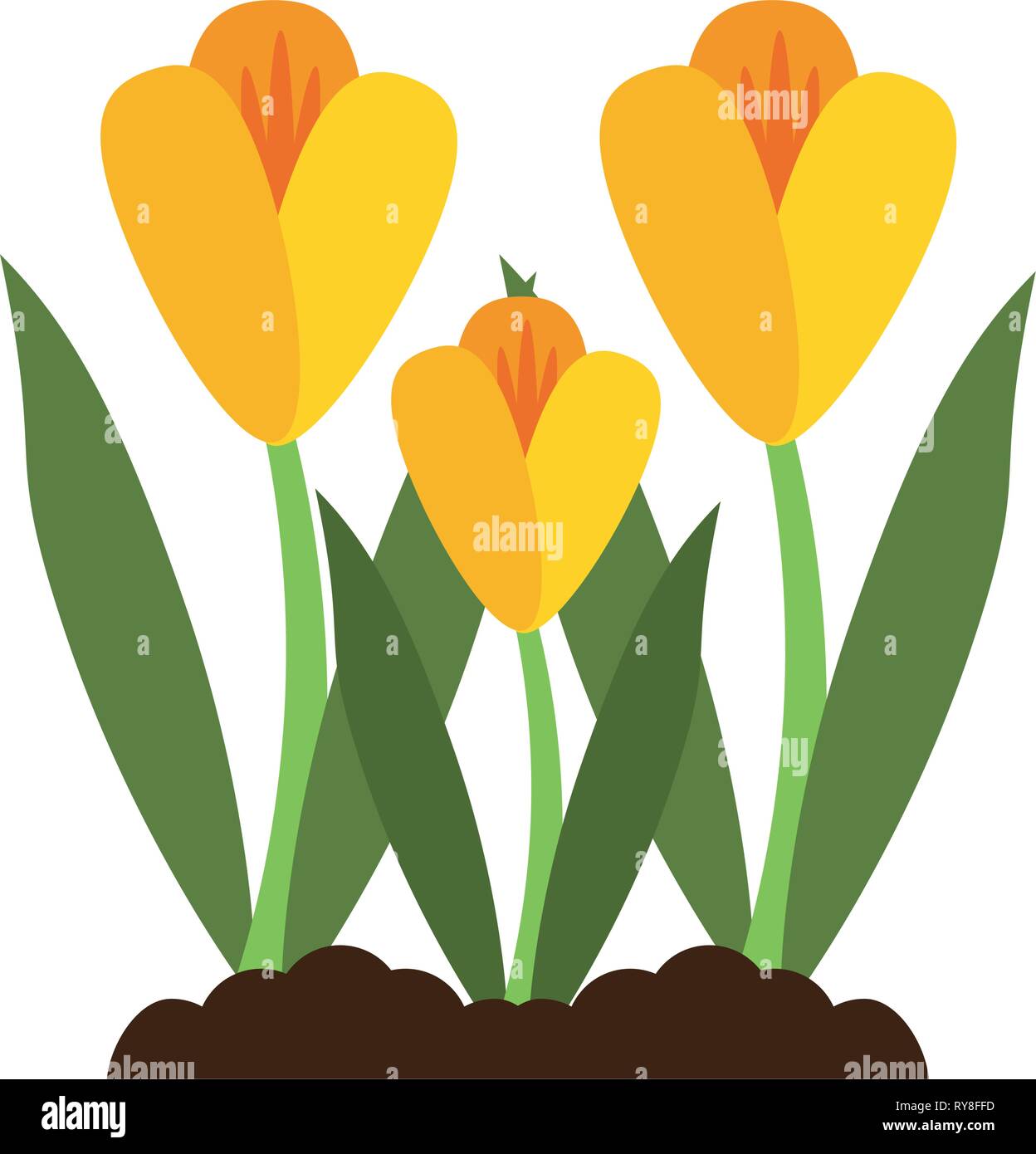 Beautiful flowers cartoon isolated Stock Vector Image & Art - Alamy