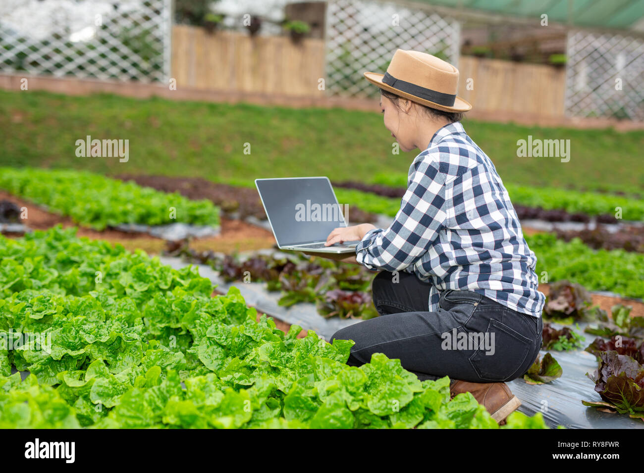 Inspection of vegetable garden quality by farmers using modern ...
