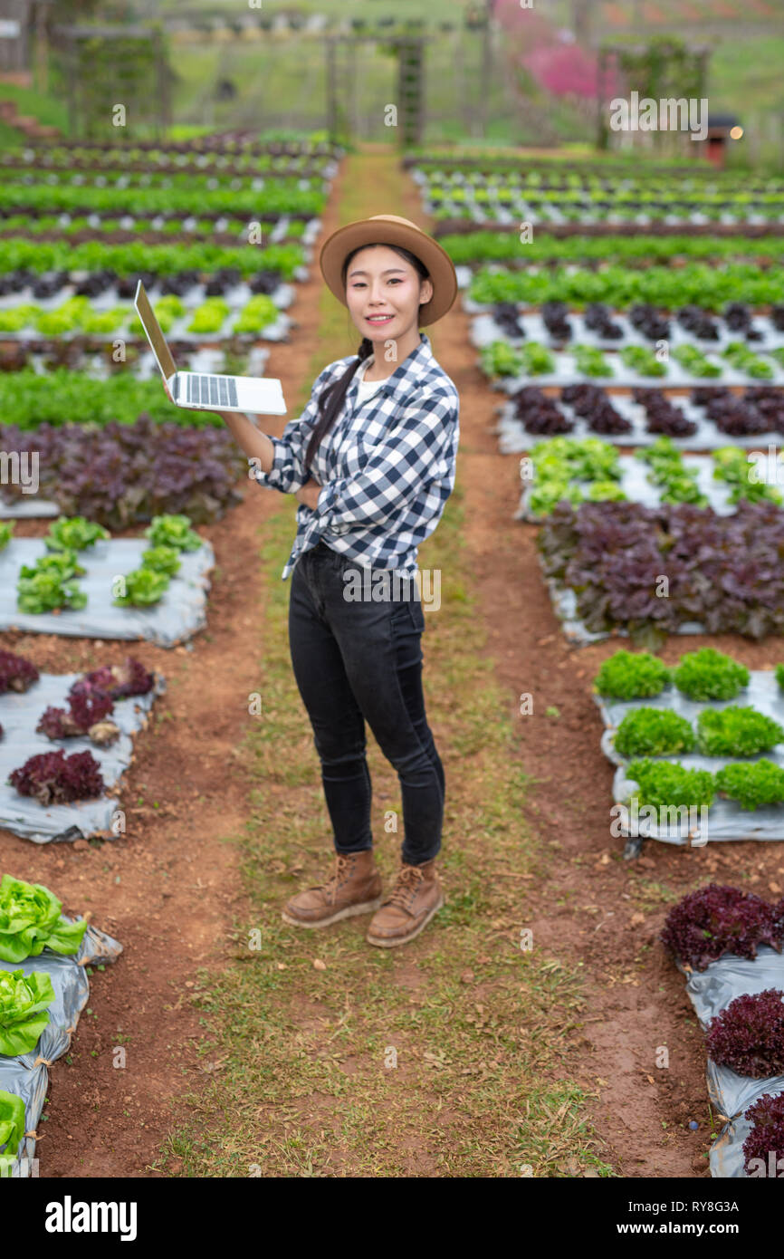 Inspection of vegetable garden quality by farmers using modern ...