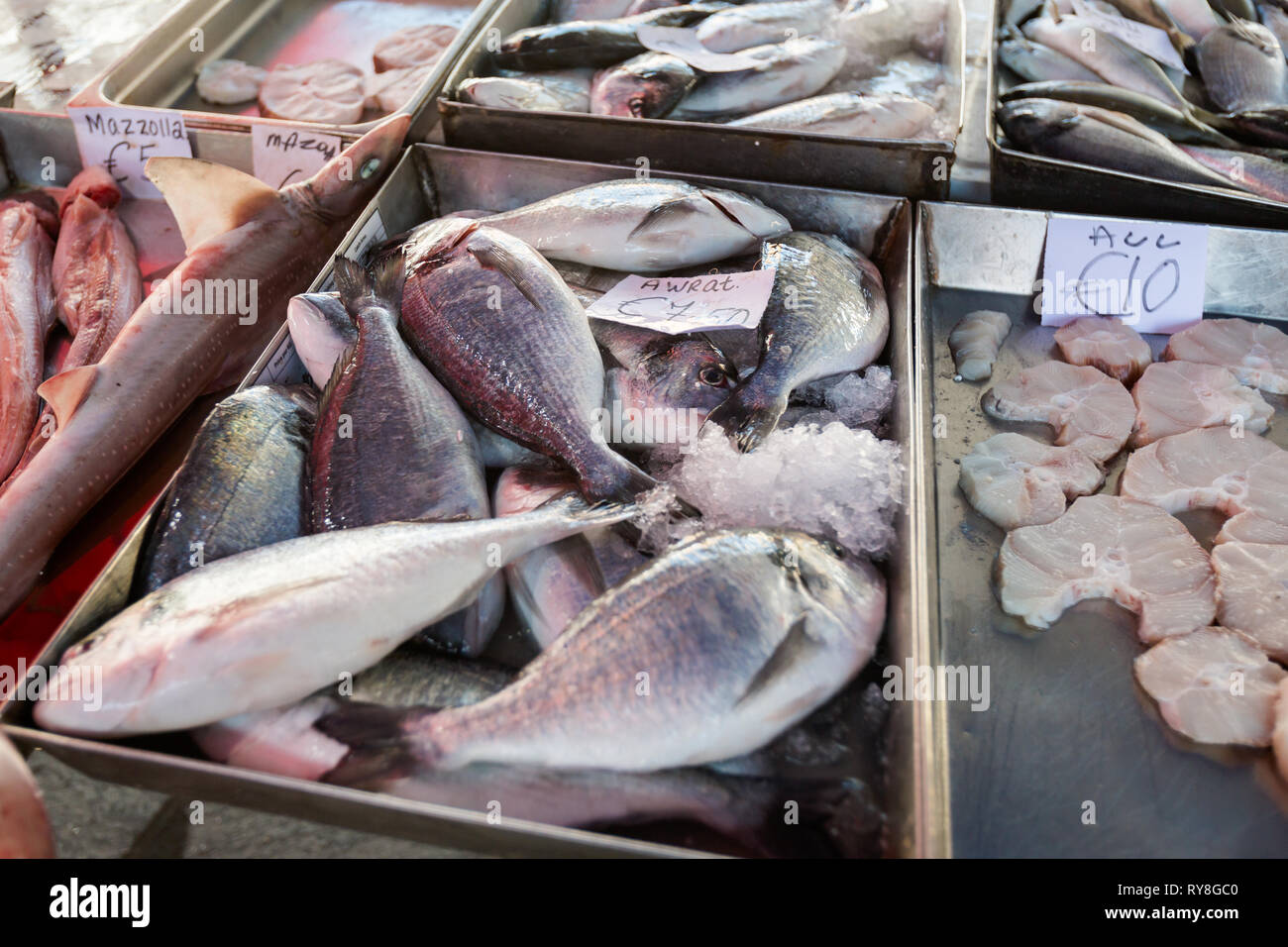 Selection of fresh caught fishes and seafood on Marsaxlokk local market ...
