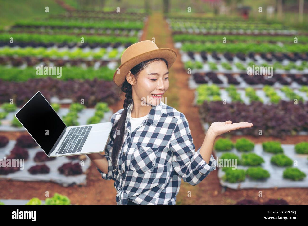 Inspection of vegetable garden quality by farmers using modern ...