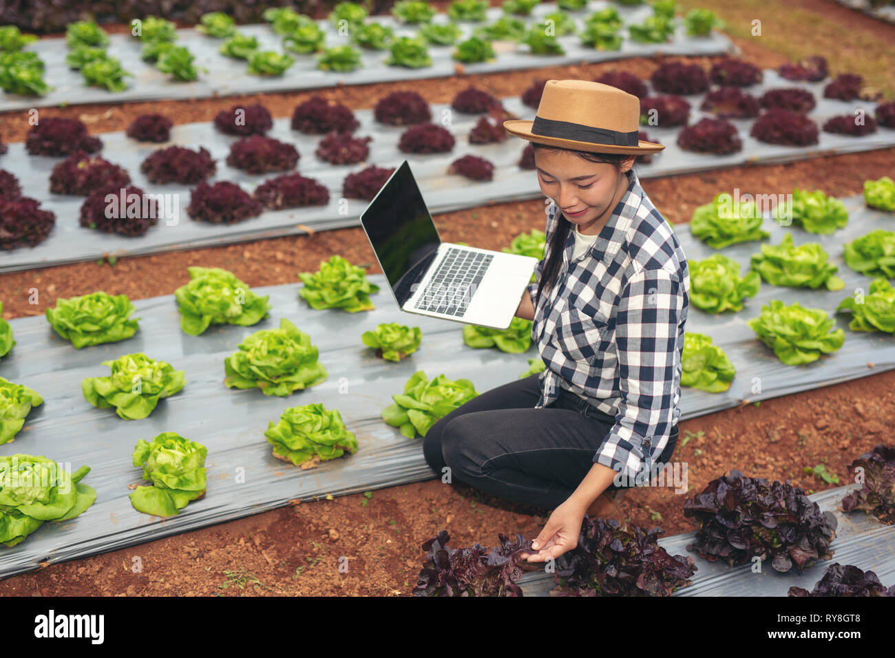 Inspection of vegetable garden quality by farmers using modern ...