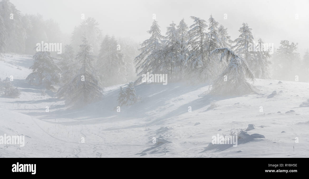 Gleize Pass (Col de Gleize), Champsaur, Hautes-Alpes, Alps, France ...