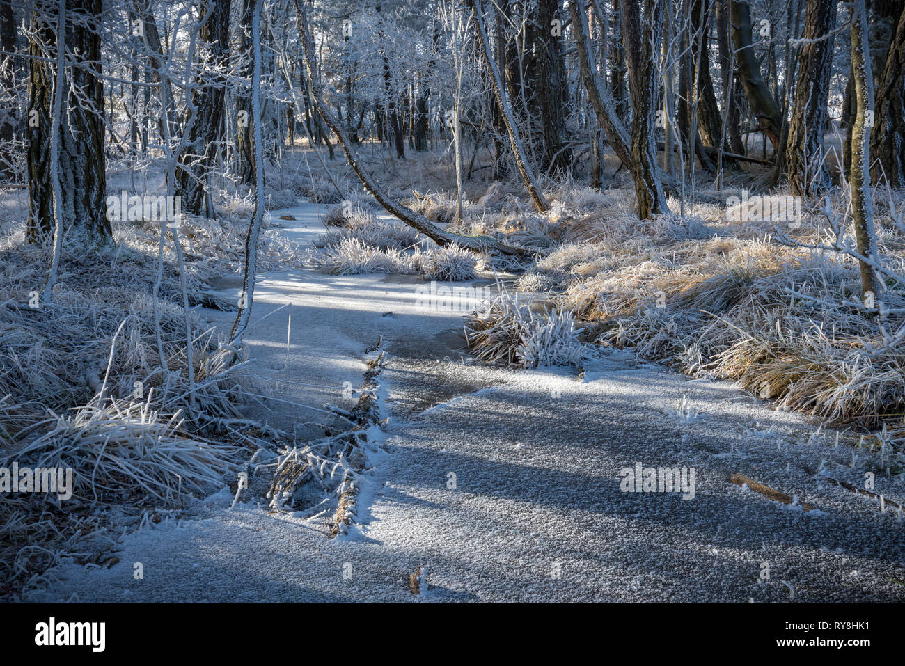 Plateau de bayard hi-res stock photography and images - Alamy