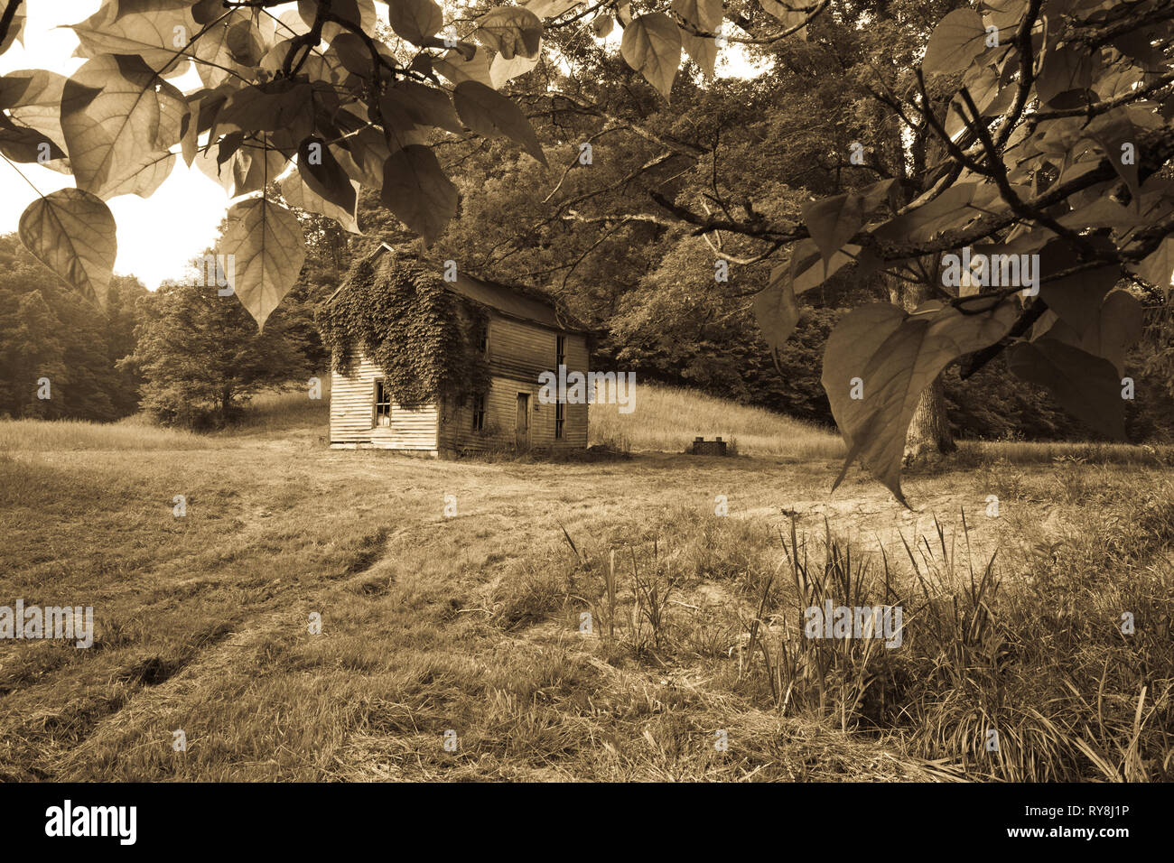 , Mason County, West Virginia, USA Stock Photo - Alamy