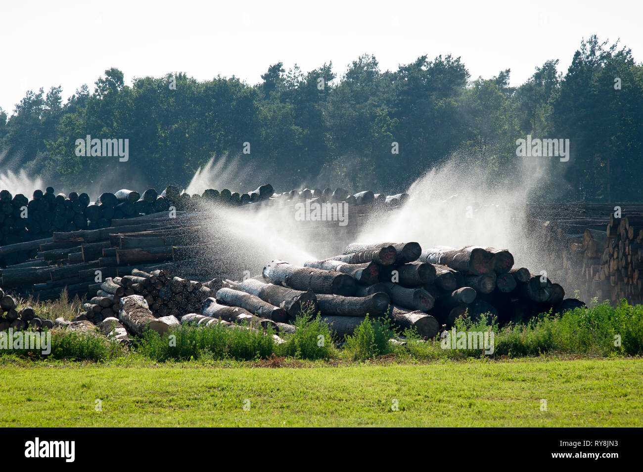 Timber extraction hi-res stock photography and images - Alamy