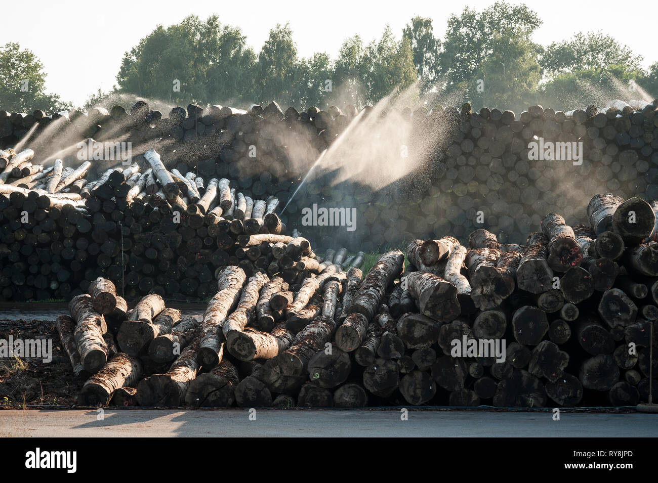 Timber extraction hi-res stock photography and images - Alamy