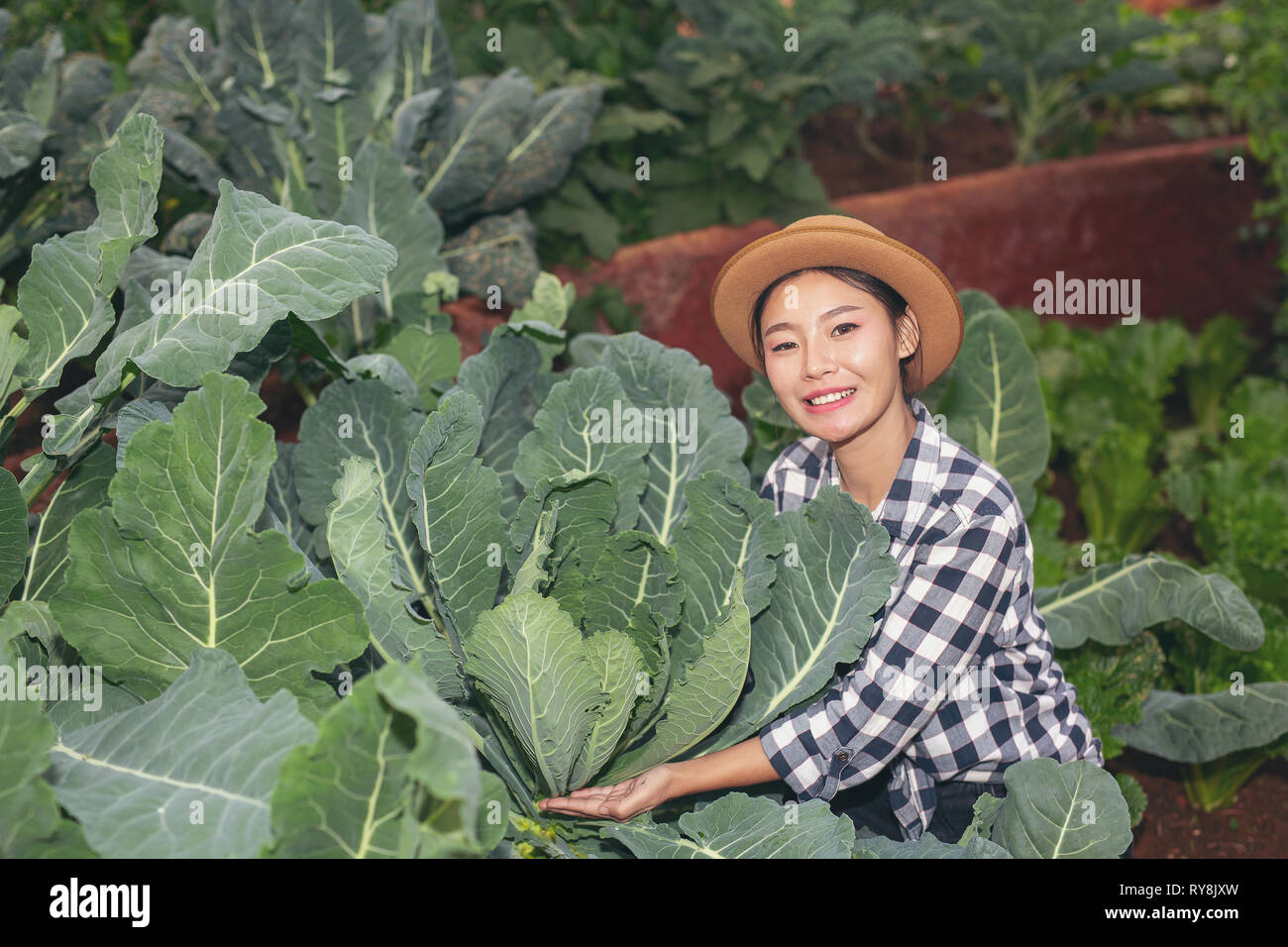 Inspection of vegetable garden quality by farmers using modern ...