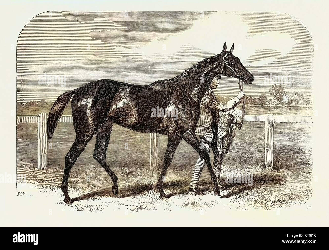 St leger winner hi-res stock photography and images - Alamy