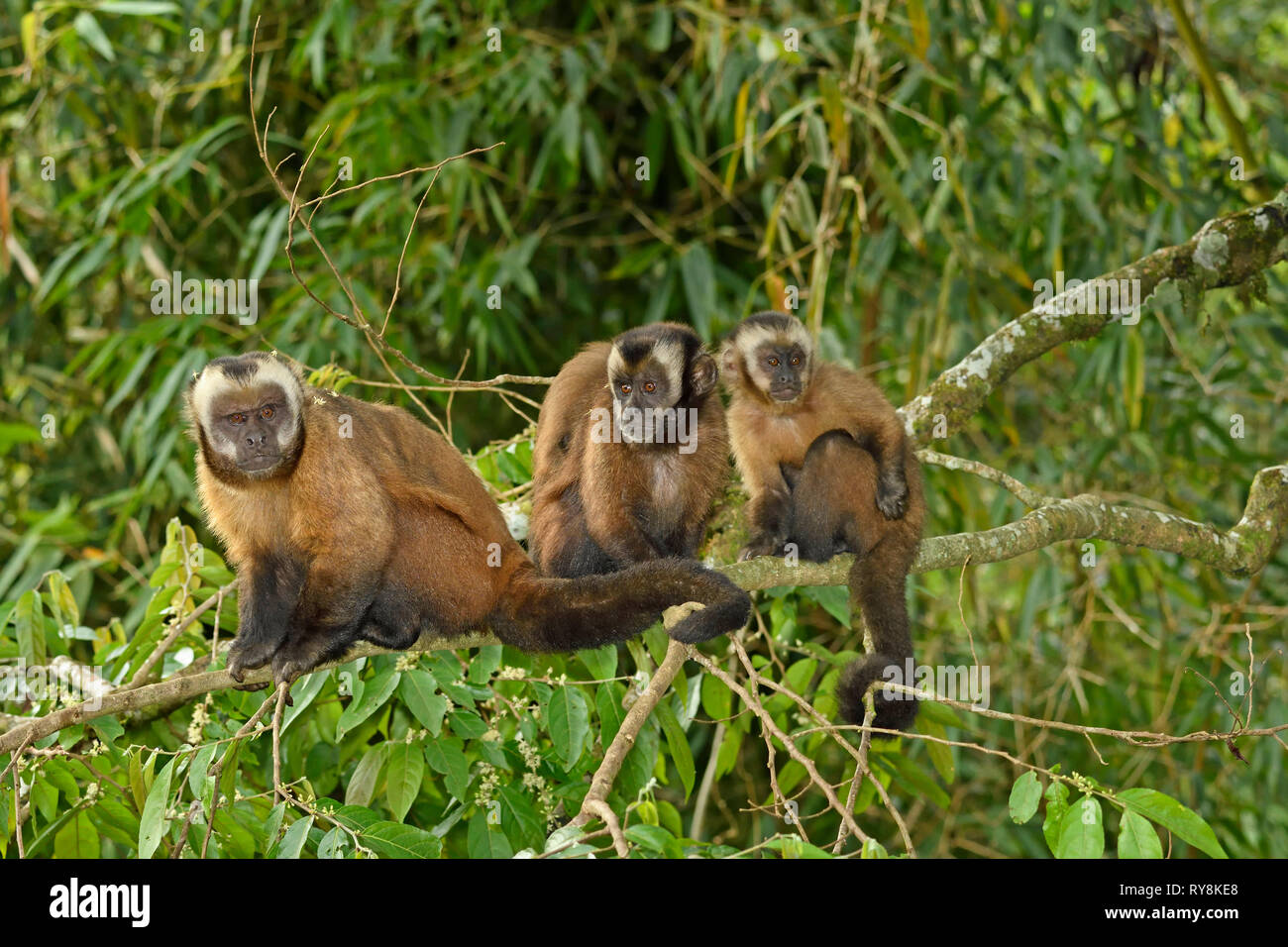 Togther hi-res stock photography and images - Alamy