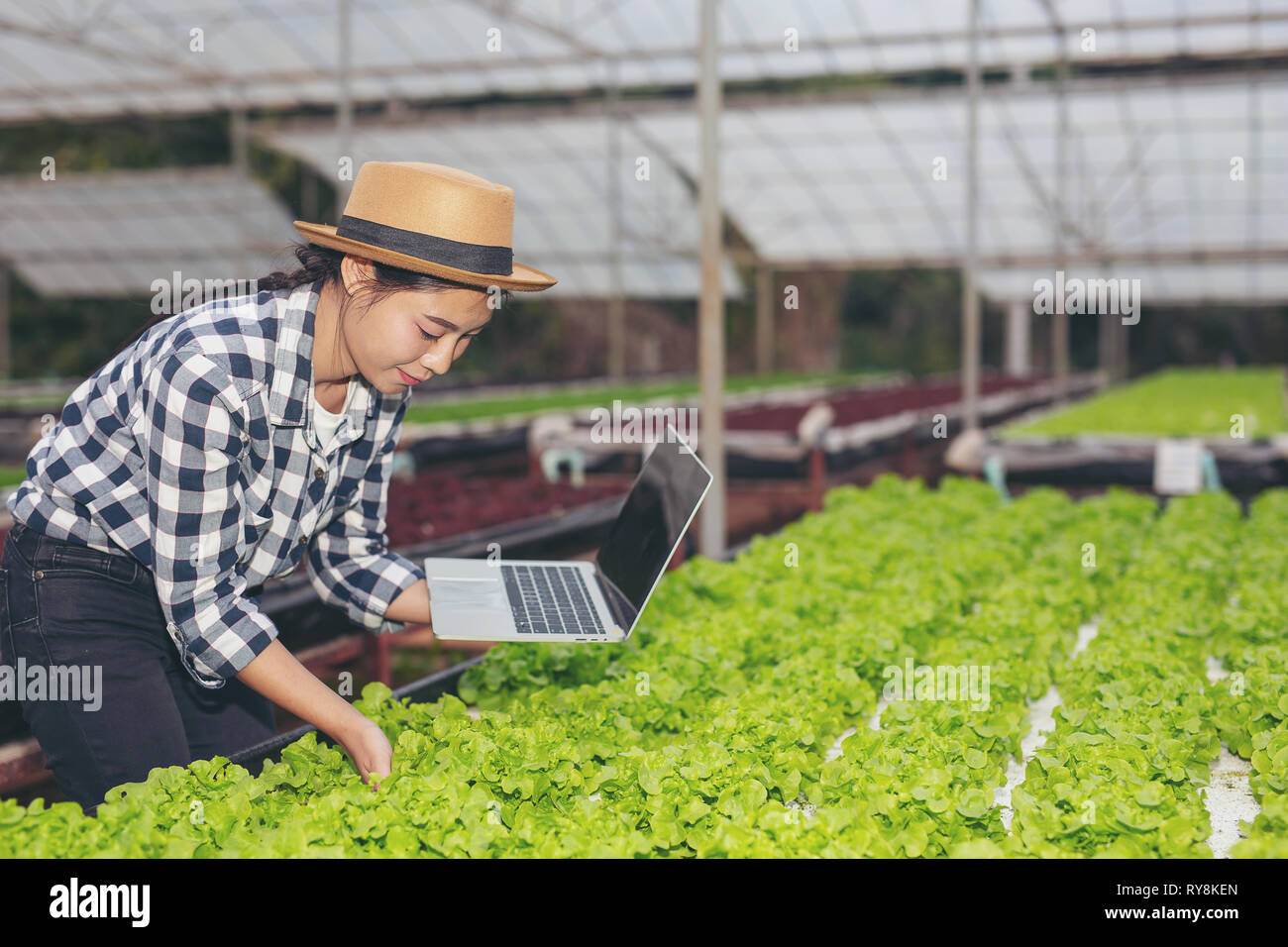 Inspection of vegetable garden quality by farmers using modern ...