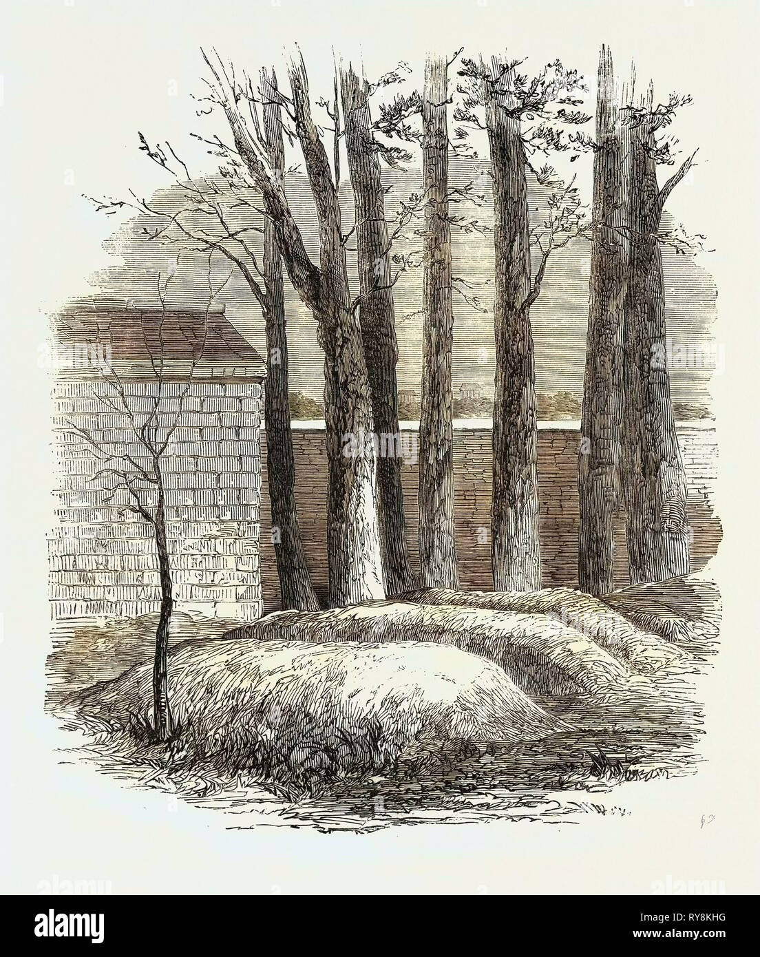 Close of the War with China: Graves of Lieut. Anderson Private Phipps ...