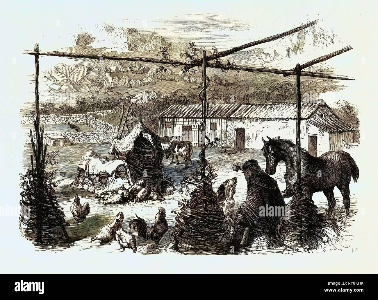 Victorian farmyard hi-res stock photography and images - Alamy