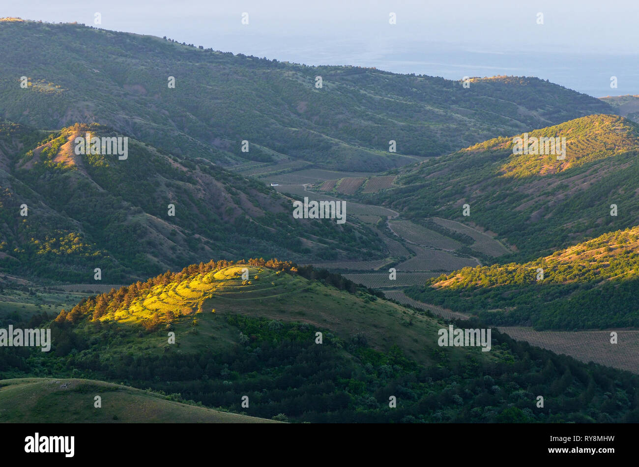 Evening landscape with wooded hills. The peninsula of Crimea, Ukraine ...