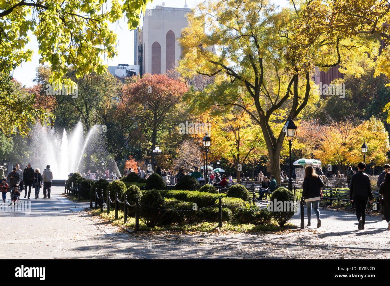 Fall foliage on university washington hi-res stock photography and ...