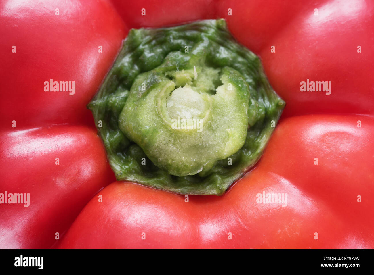 Sweet red pepper, close-up, vegetables Stock Photo - Alamy