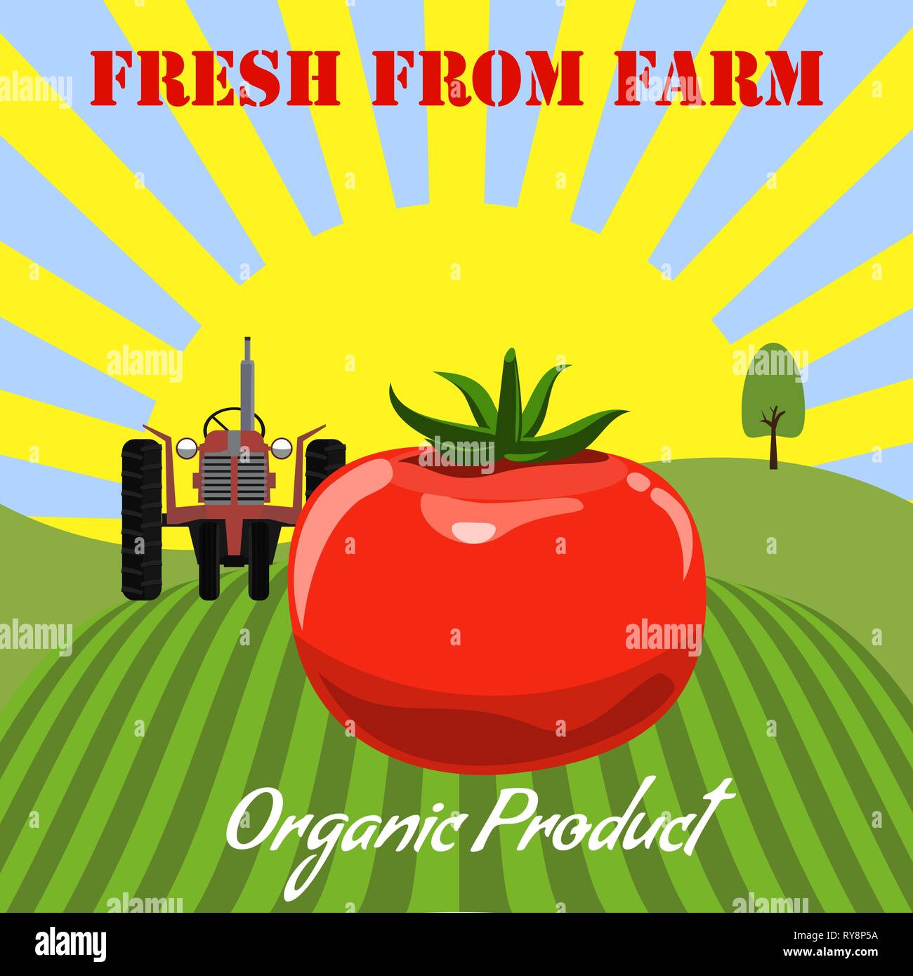 Tomato mockup in farm landscape background. Label design for tomato ...